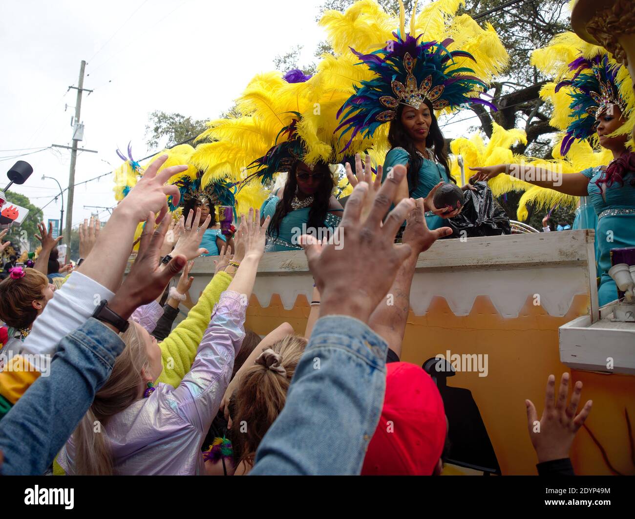 New Orleans, Louisiana, USA - February 25, 2020: People celebrate Mardi ...