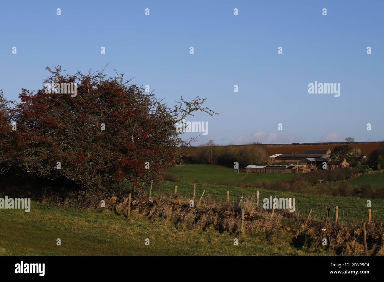 Viking Way 12-20 Stock Photo - Alamy