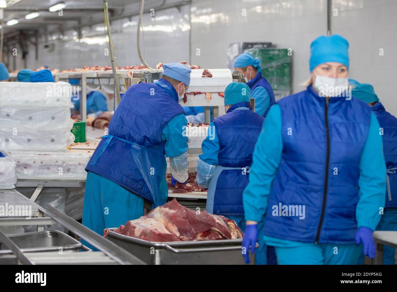 Belarus, Gomilsky district, 13 11 2020. Meat production. workers behind ...