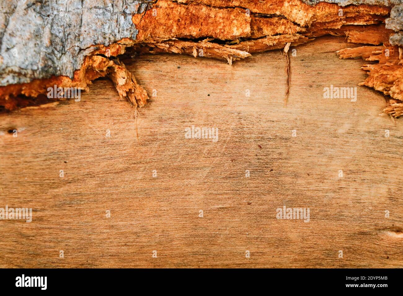 Highly Detailed Wood Texture Background Stock Photo - Alamy