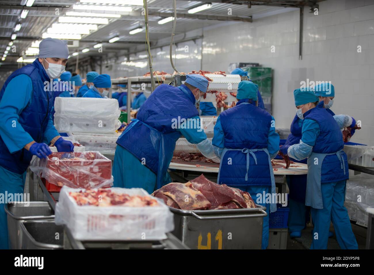 Belarus, Gomilsky district, 13 11 2020. Meat production. workers behind ...