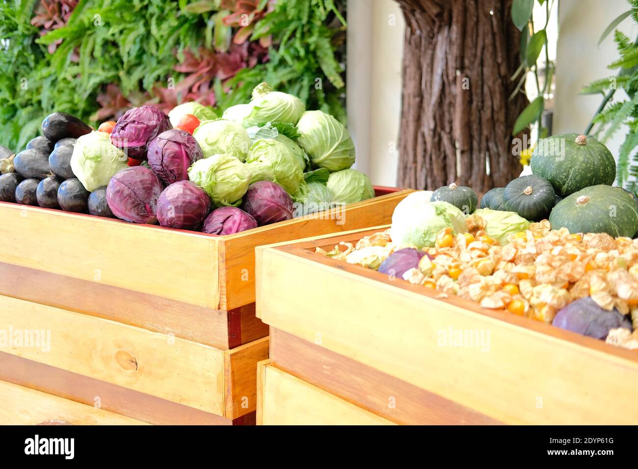 fruit vegetables in wooden cart wagon harvesting from farm Stock Photo ...