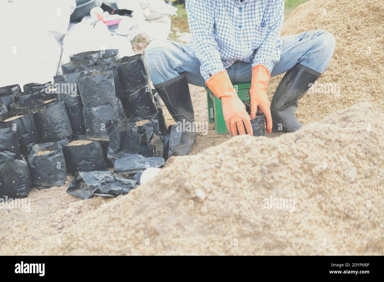 substrate materials for growing plant. soil and fertilizer in planting ...