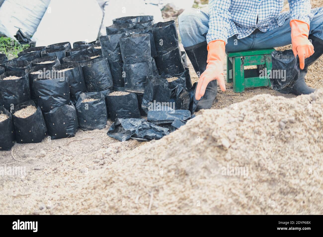 substrate materials for growing plant. soil and fertilizer in planting ...