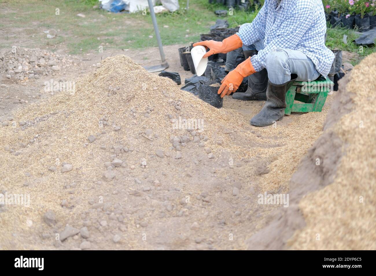 farmer pouring substrate materials for growing plant. soil fertilizer ...
