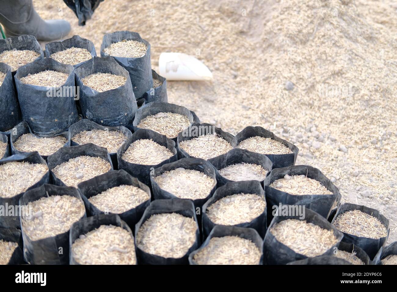 substrate materials for growing plant. soil and fertilizer in planting ...