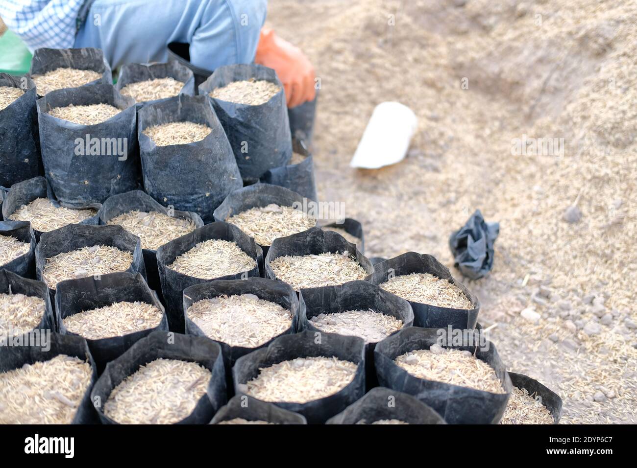 substrate materials for growing plant. soil and fertilizer in planting ...
