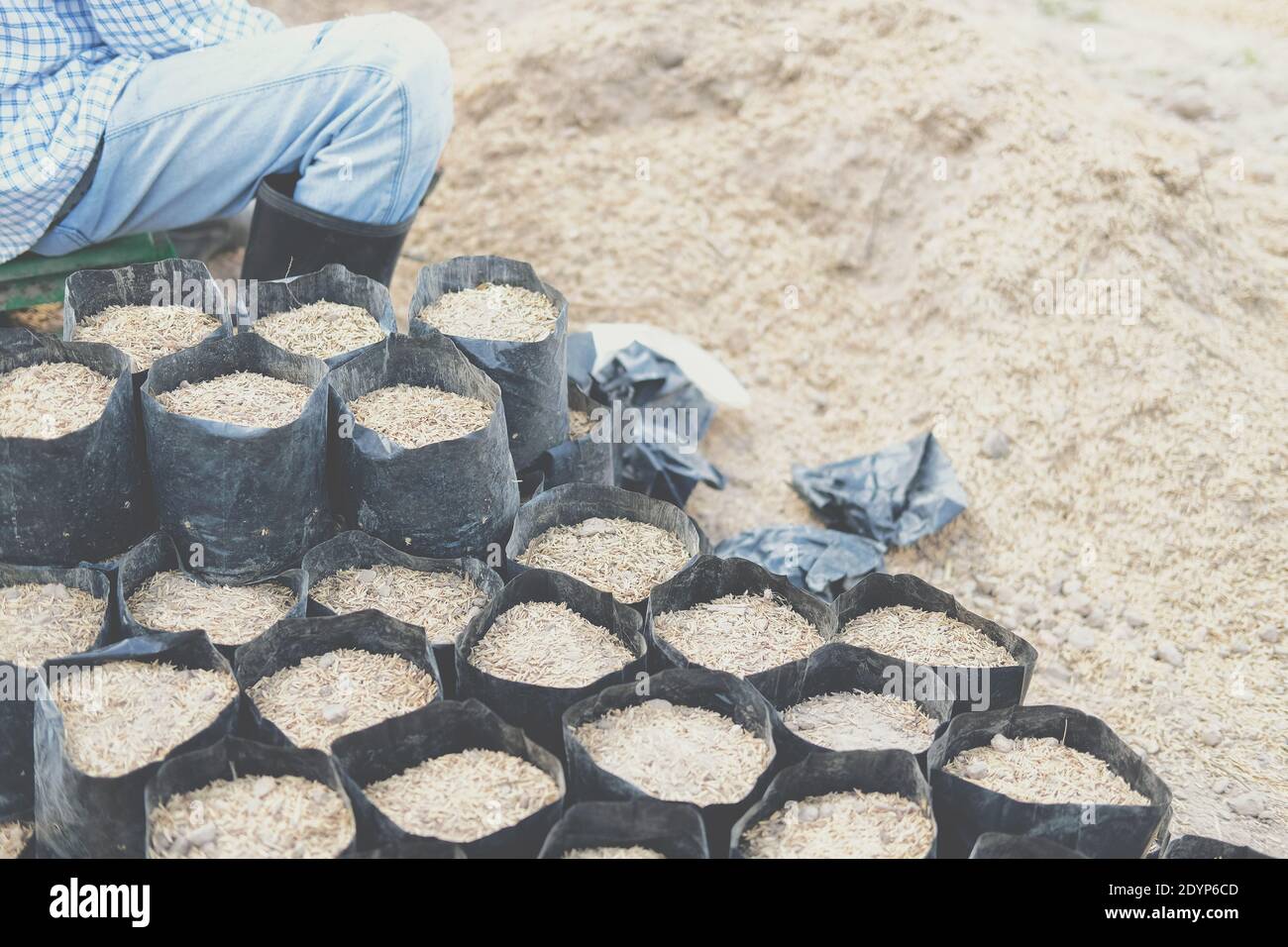 substrate materials for growing plant. soil and fertilizer in planting ...