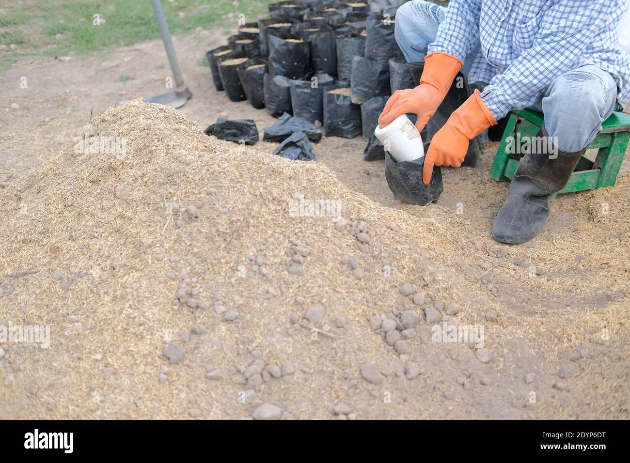 farmer pouring substrate materials for growing plant. soil fertilizer ...
