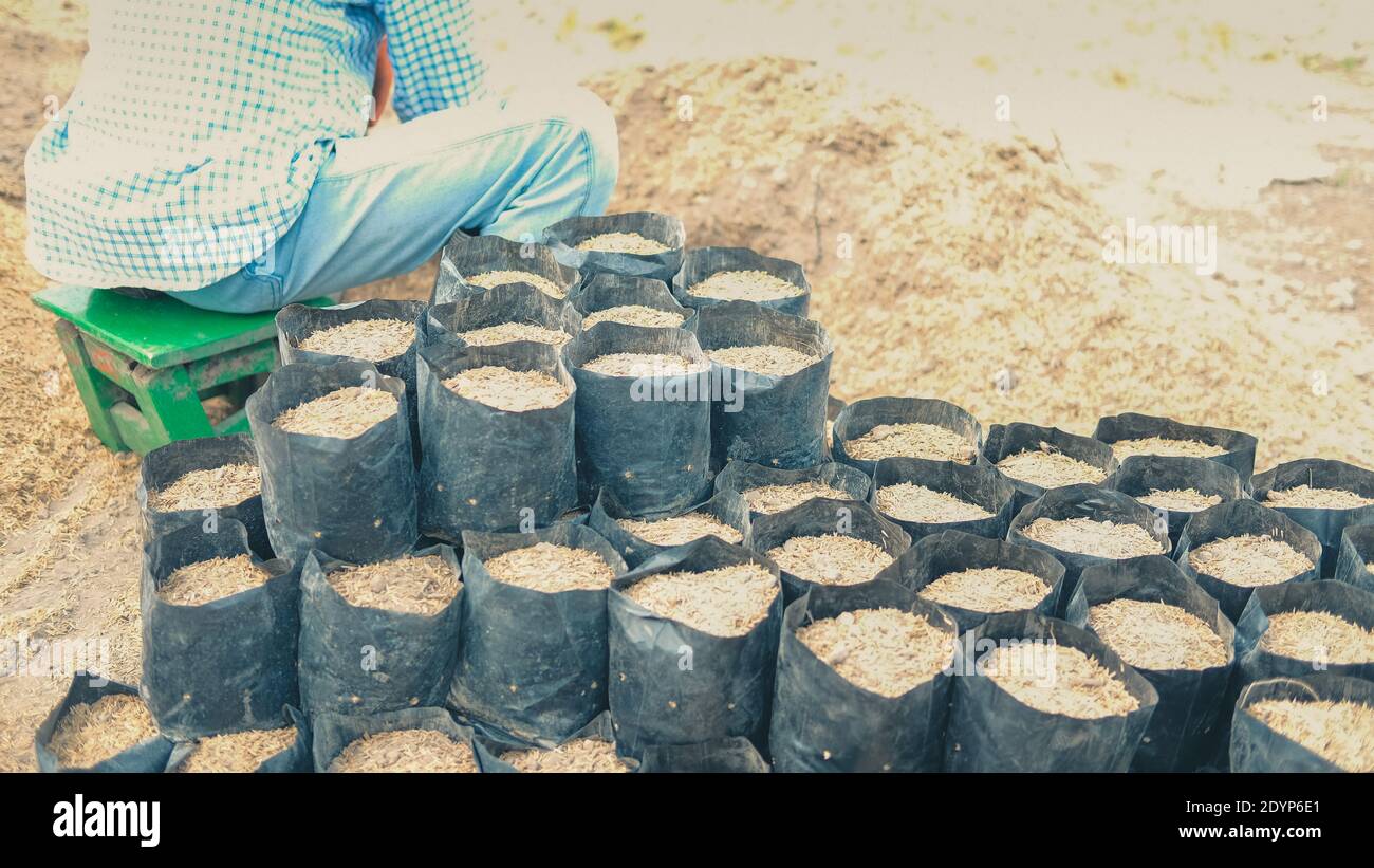 substrate materials for growing plant. soil and fertilizer in planting ...