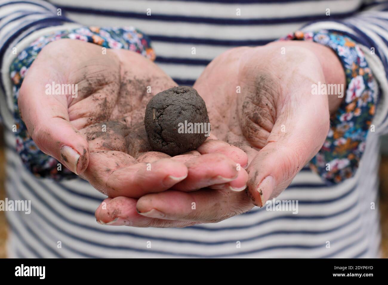 Types of soil hi-res stock photography and images - Alamy