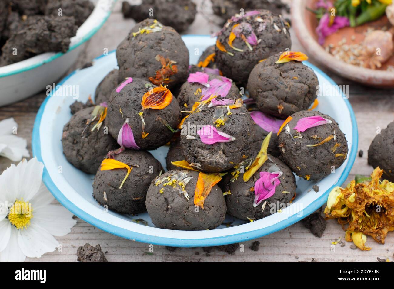 Homemade flower seed bombs made with clay soil embedded with poppy ...