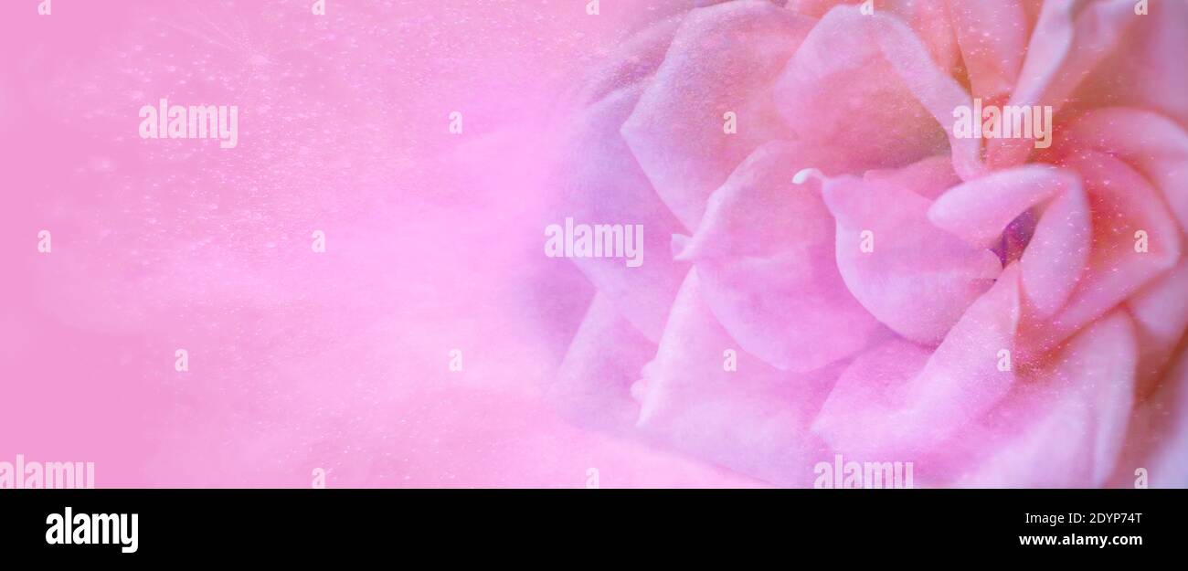 Beautiful pink congratulations card or wedding invitation with big ...