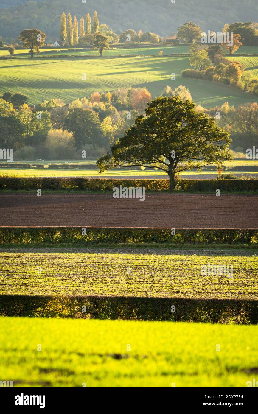 Kingdom countryside hi-res stock photography and images - Alamy