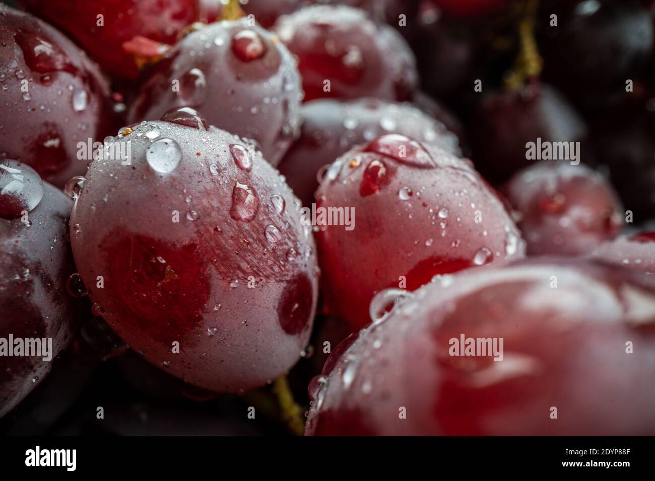 Water Drops on Washed Grapes in bowl Stock Photo - Alamy