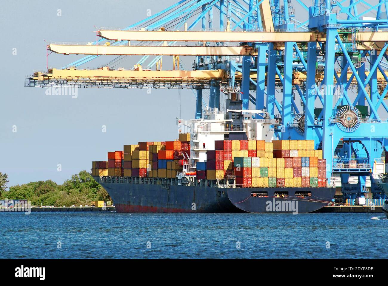 Container ships under the unloading gantry cranes Stock Photo - Alamy