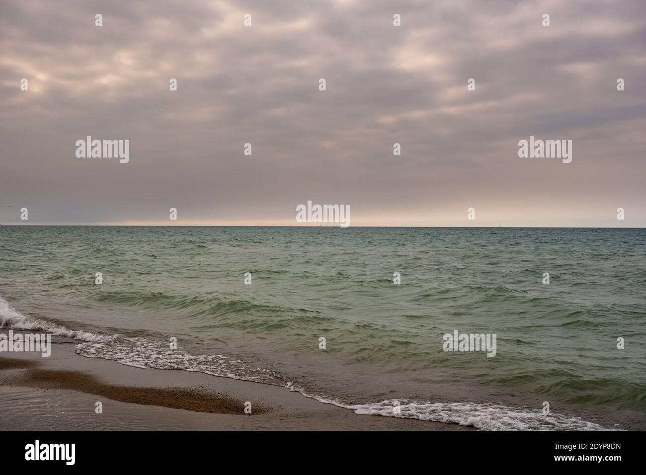 Shells on lake michigan beach hi-res stock photography and images - Alamy