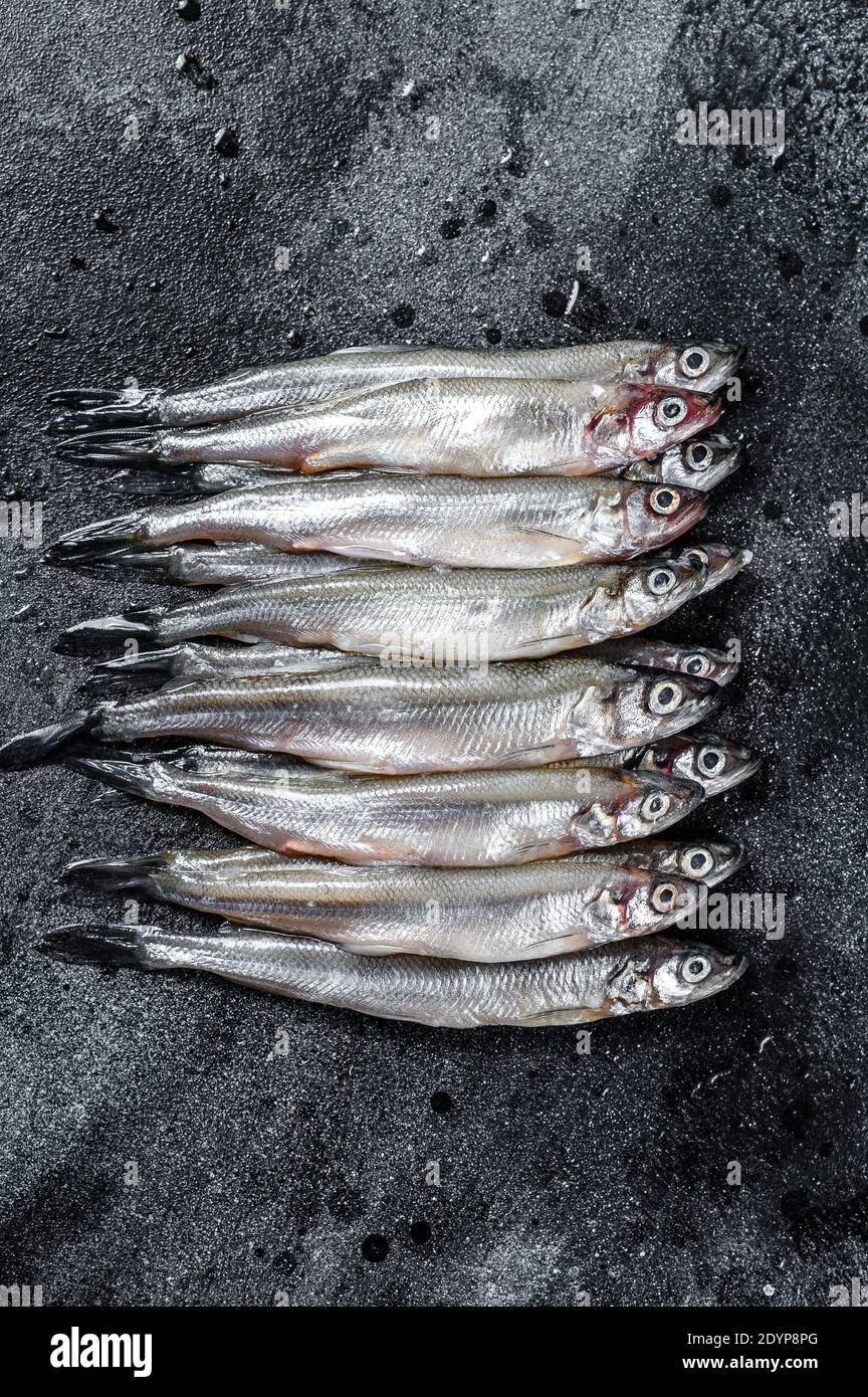 Capelin Fish High Resolution Stock Photography and Images - Alamy