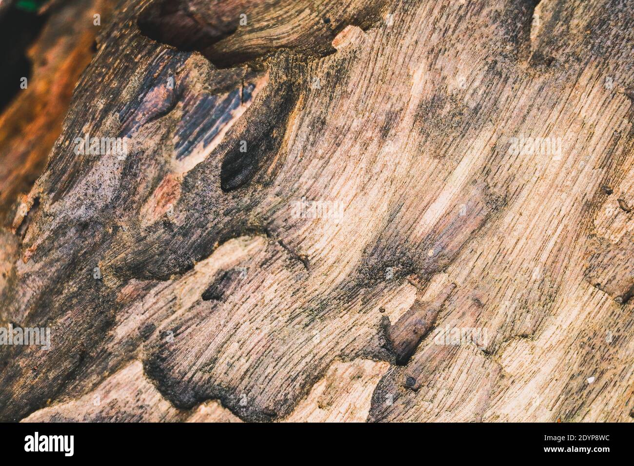Highly Detailed Wood Texture Background Stock Photo - Alamy