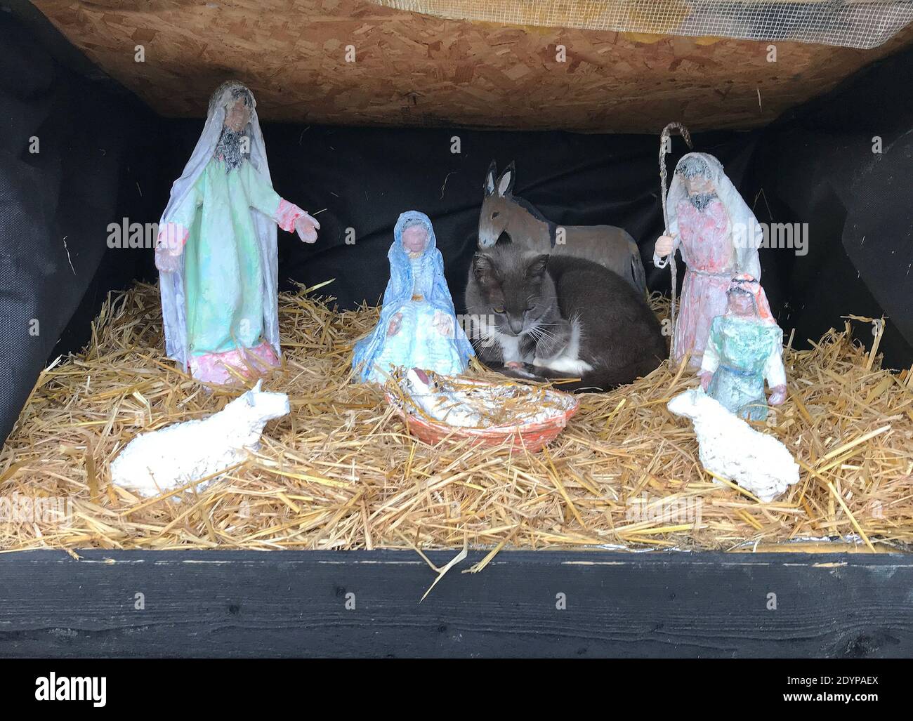 Children nativity donkey hi-res stock photography and images - Alamy
