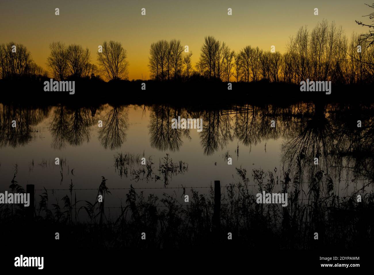 Marston marsh hi-res stock photography and images - Alamy