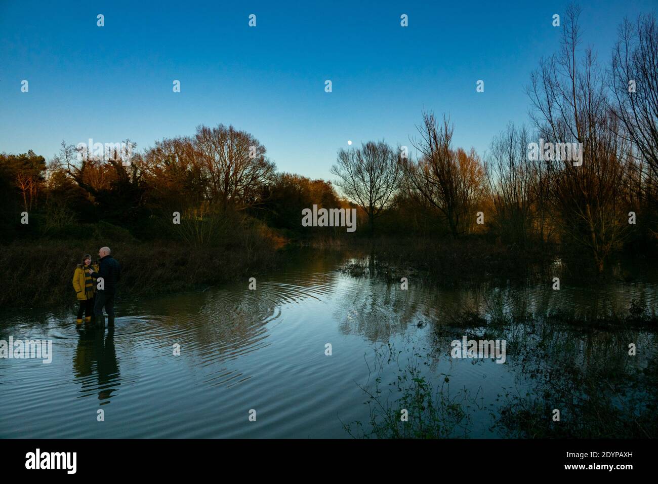 flooded water meadow Marston Marsh Stock Photo - Alamy