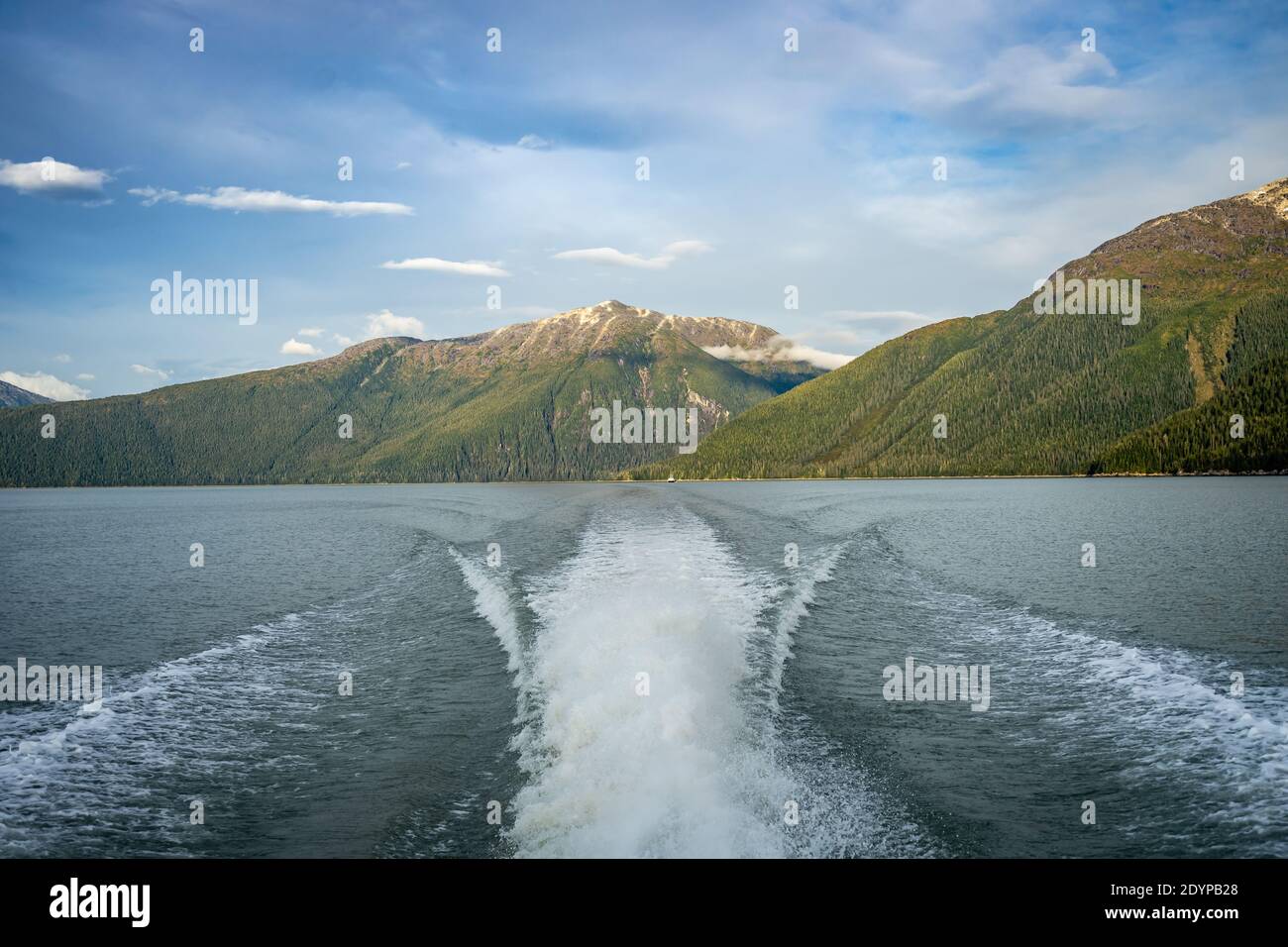 Rainforest sunlight ocean hi-res stock photography and images - Alamy