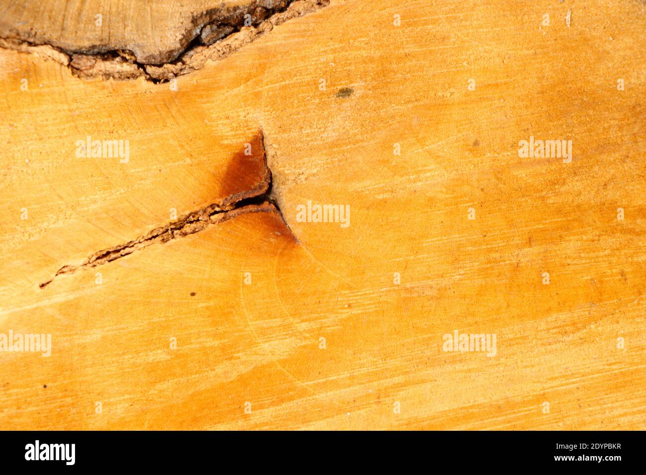 Top View of Lumber Wood Texture Highly Detailed Stock Photo - Alamy