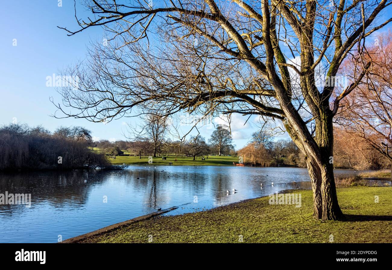 St albans winter hi-res stock photography and images - Alamy