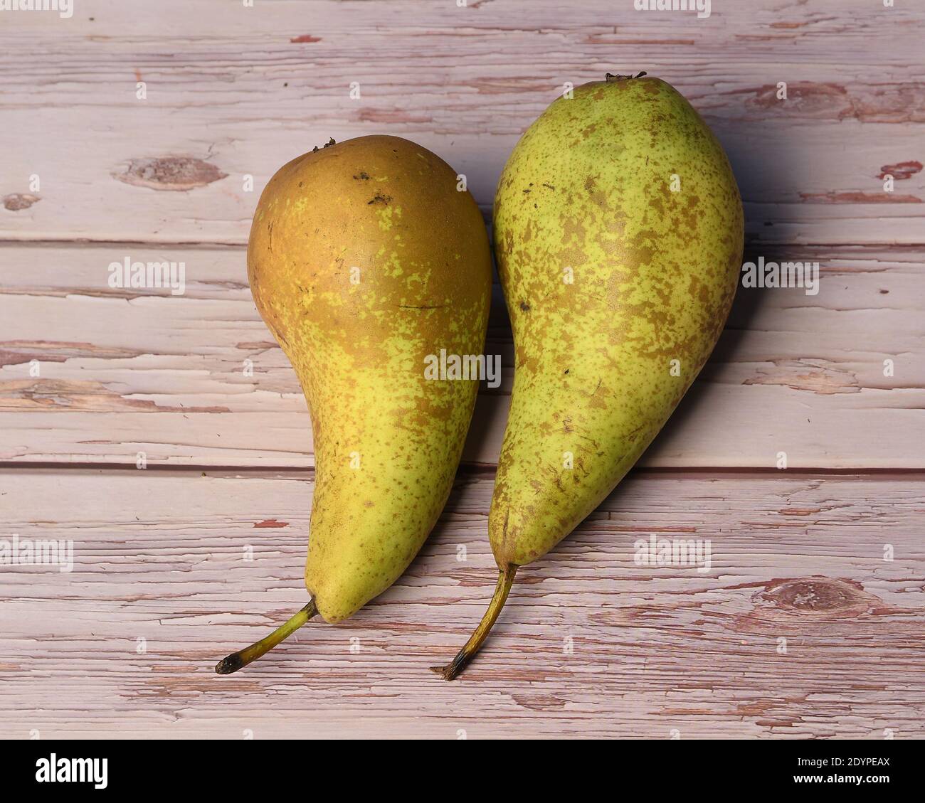 Pear species hi-res stock photography and images - Alamy