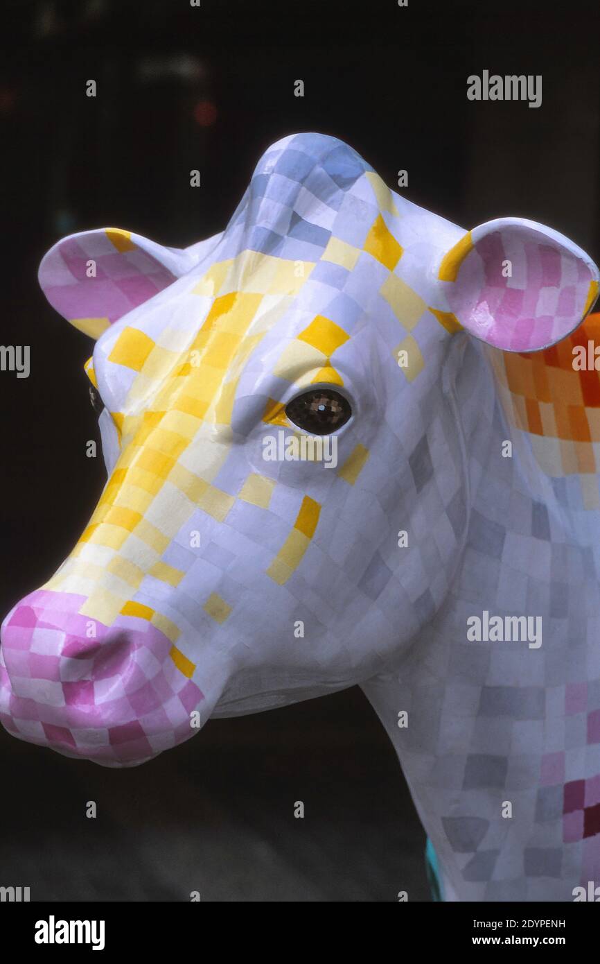 Painted cow sculpture in Calgary Alberta Canada Stock Photo - Alamy
