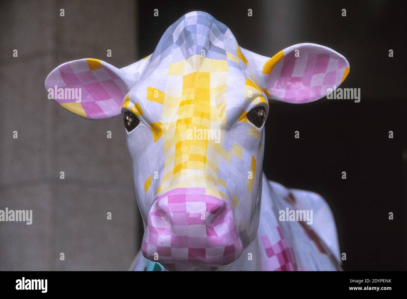 Painted cow sculpture in Calgary Alberta Canada Stock Photo - Alamy