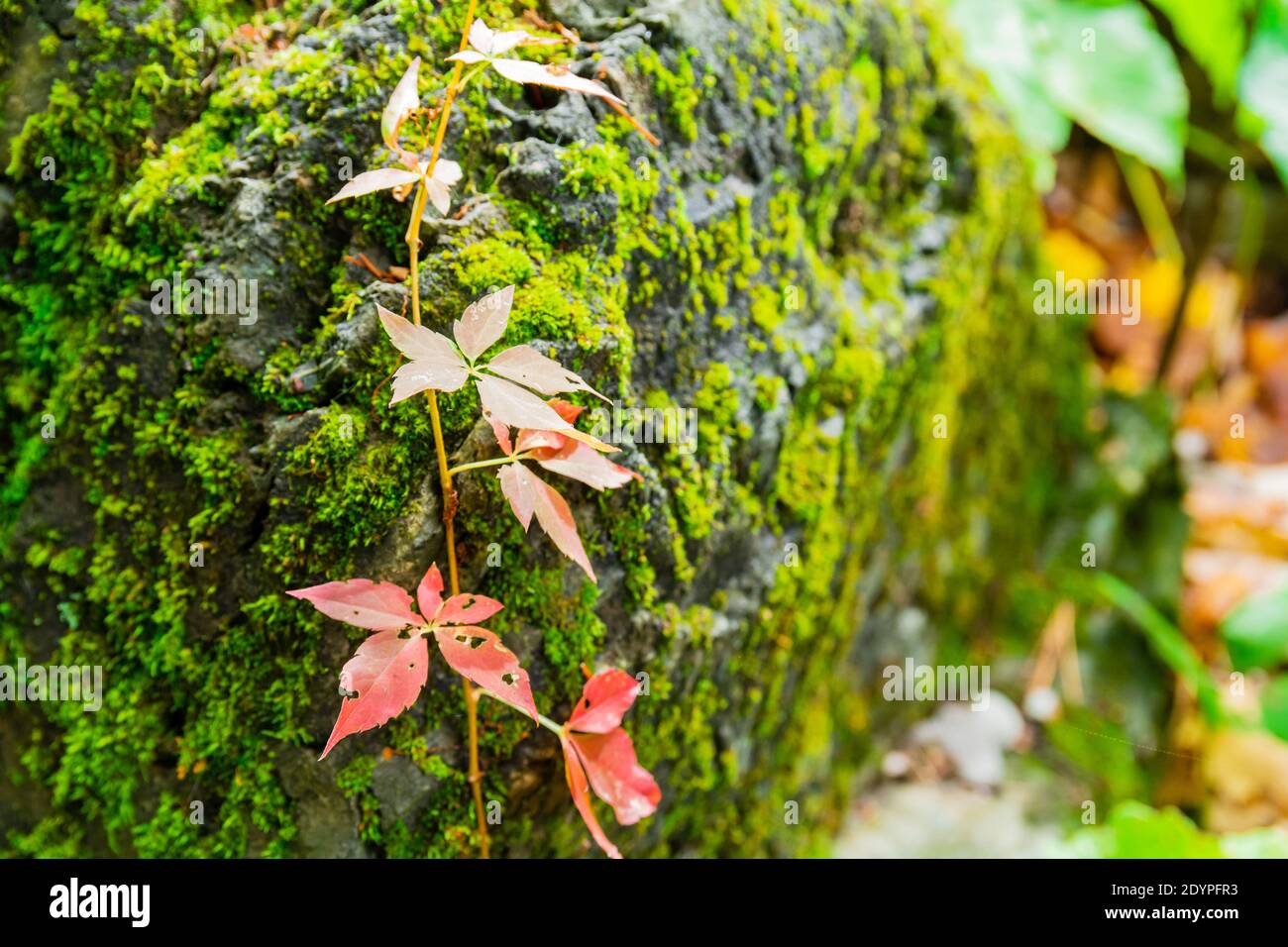 Cordova Falls Cordova Lake Crowe River Havelock Peterborough County ...