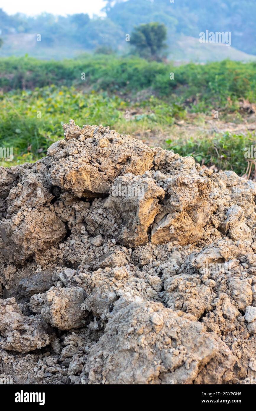 A pile of dug soil close up view Stock Photo - Alamy
