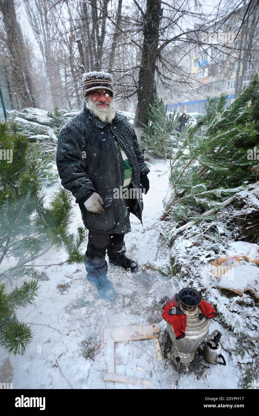 An old asian man, Christmas trees seller, standing among piled pines at ...