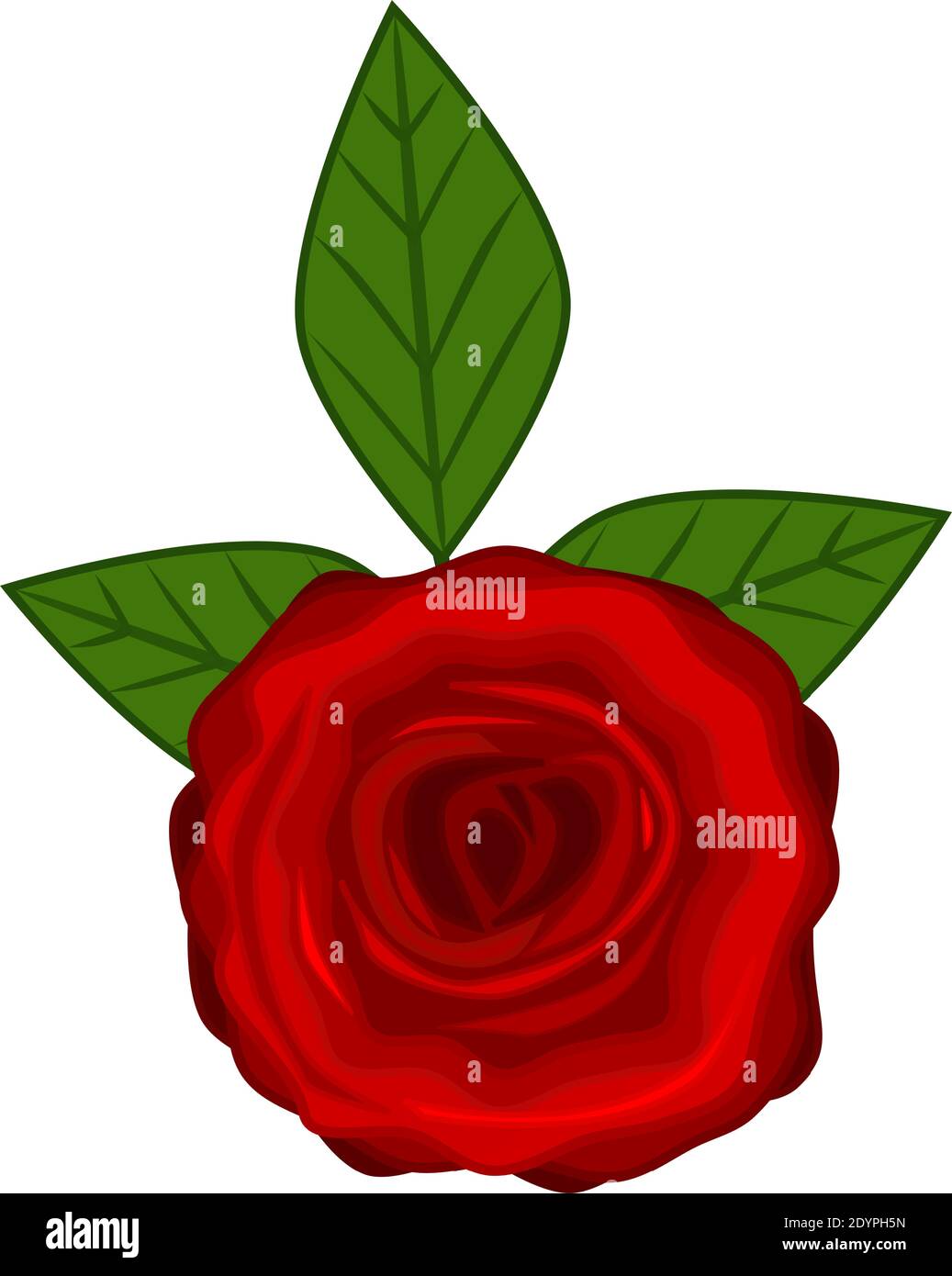 Red rose vector art with green leaves Stock Vector Image & Art - Alamy
