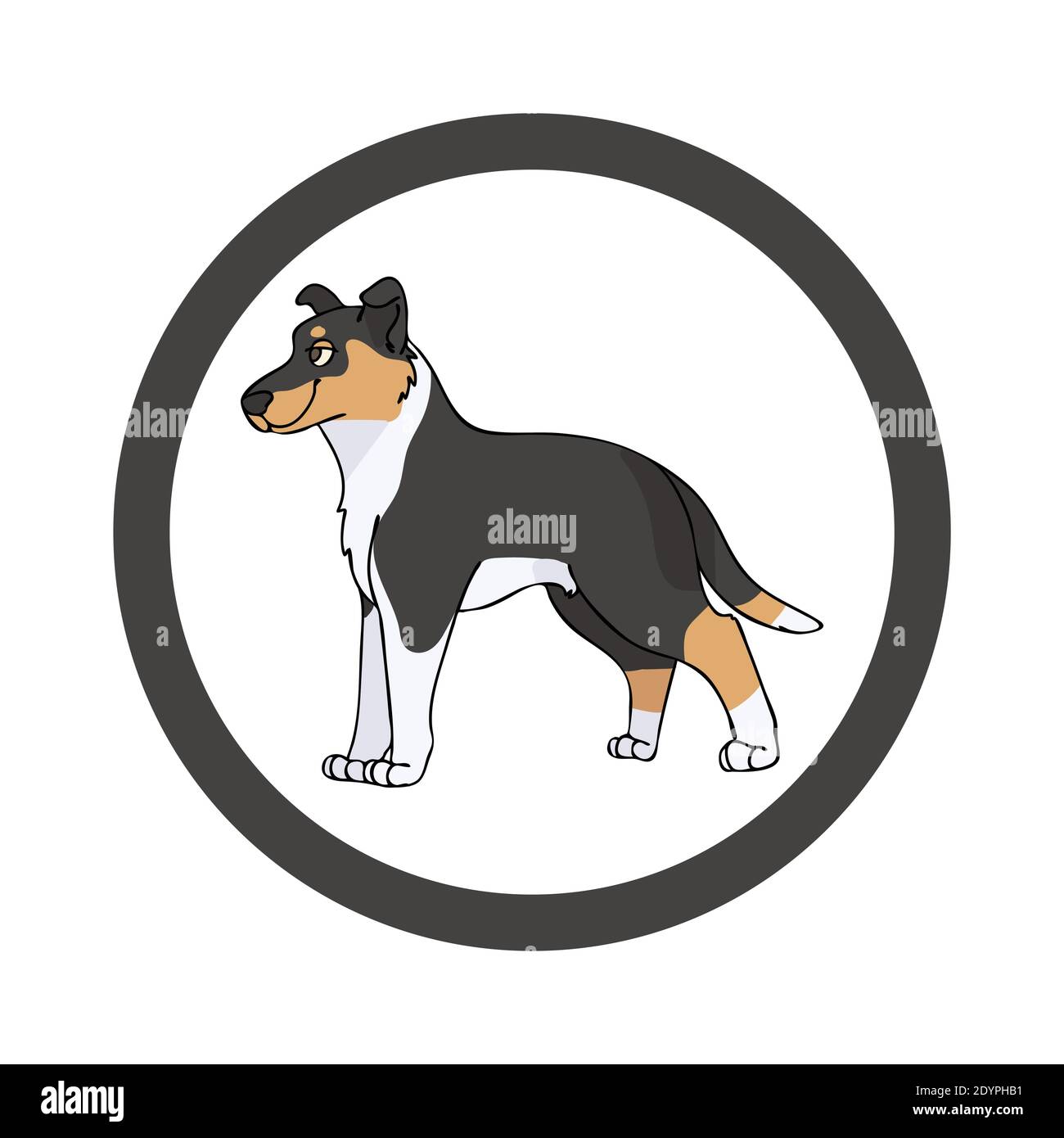 Cute cartoon Smooth Collie in dotty circle dog vector clipart. Pedigree ...