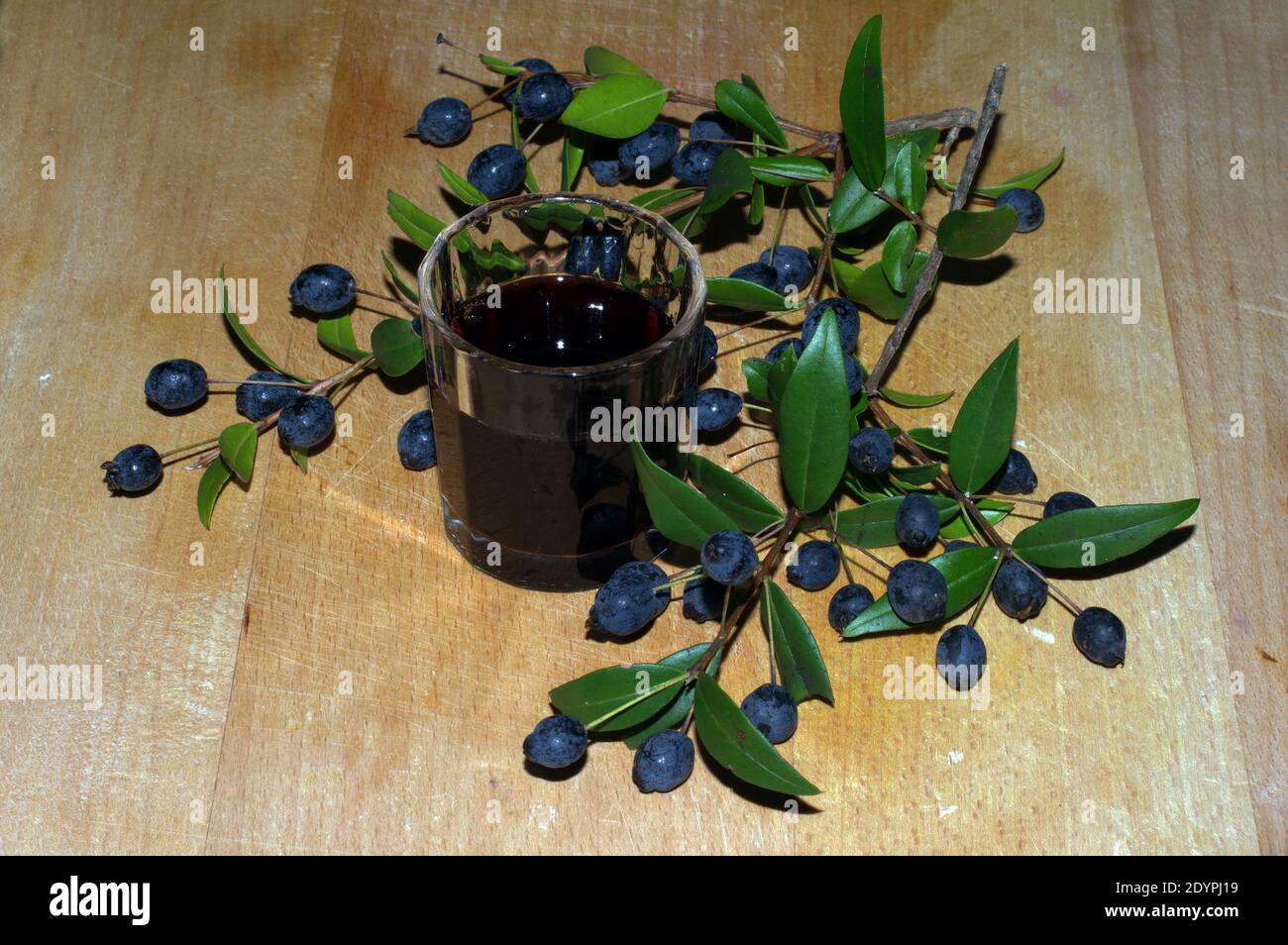 Myrtle liqueur typical of Sardinia Stock Photo - Alamy
