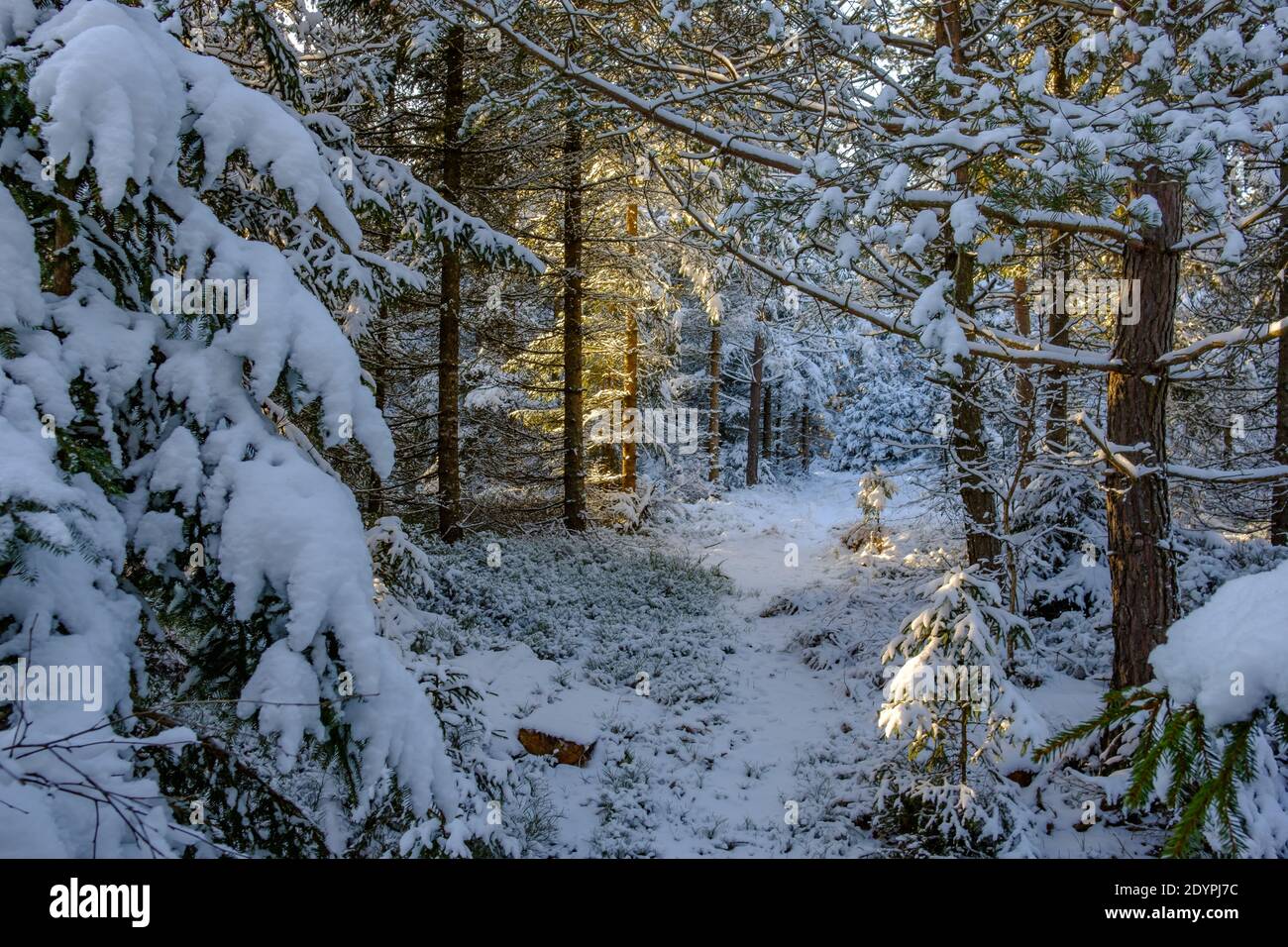 Tanner lake hi-res stock photography and images - Alamy