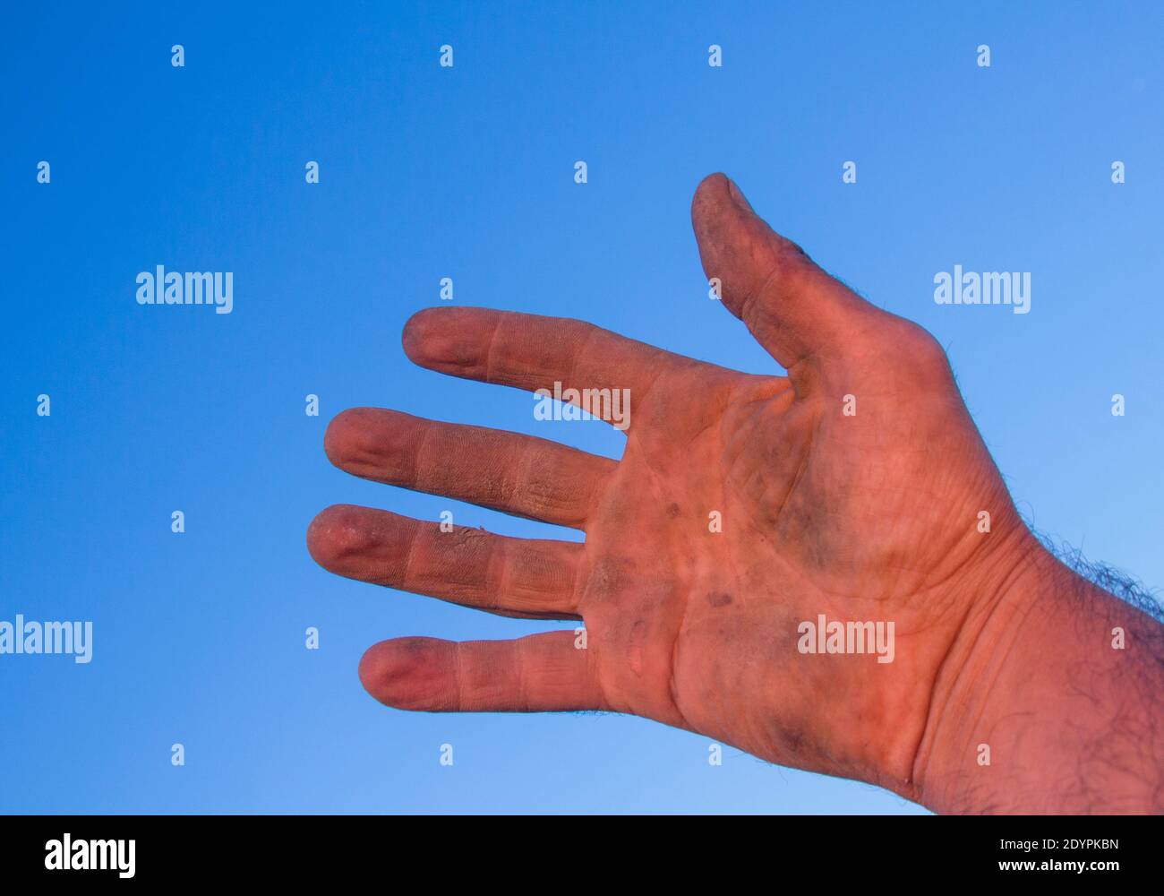 a dirty hand hardened by work stands on a blue sky Stock Photo - Alamy
