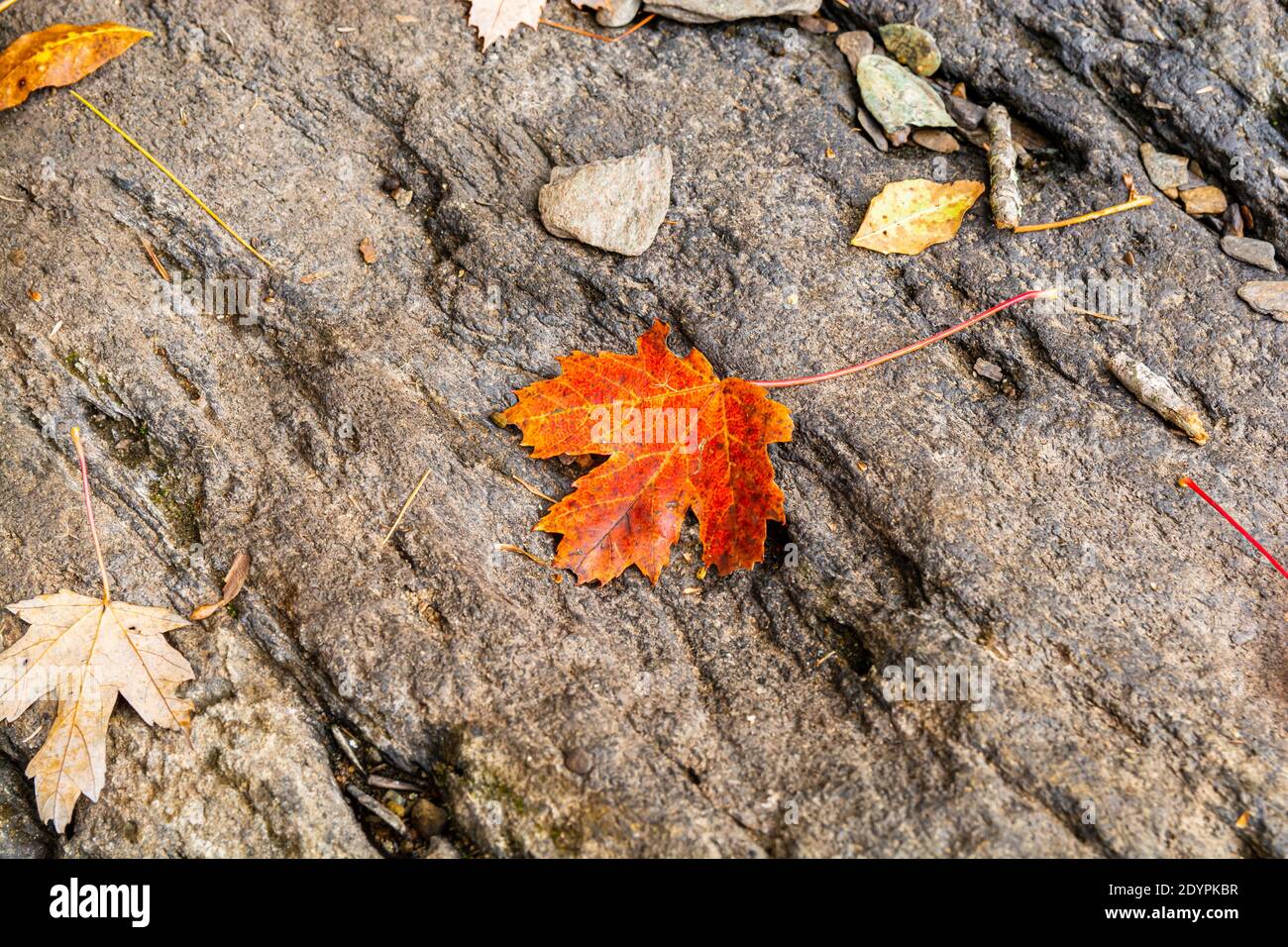 Cordova Falls Cordova Lake Crowe River Havelock Peterborough County ...