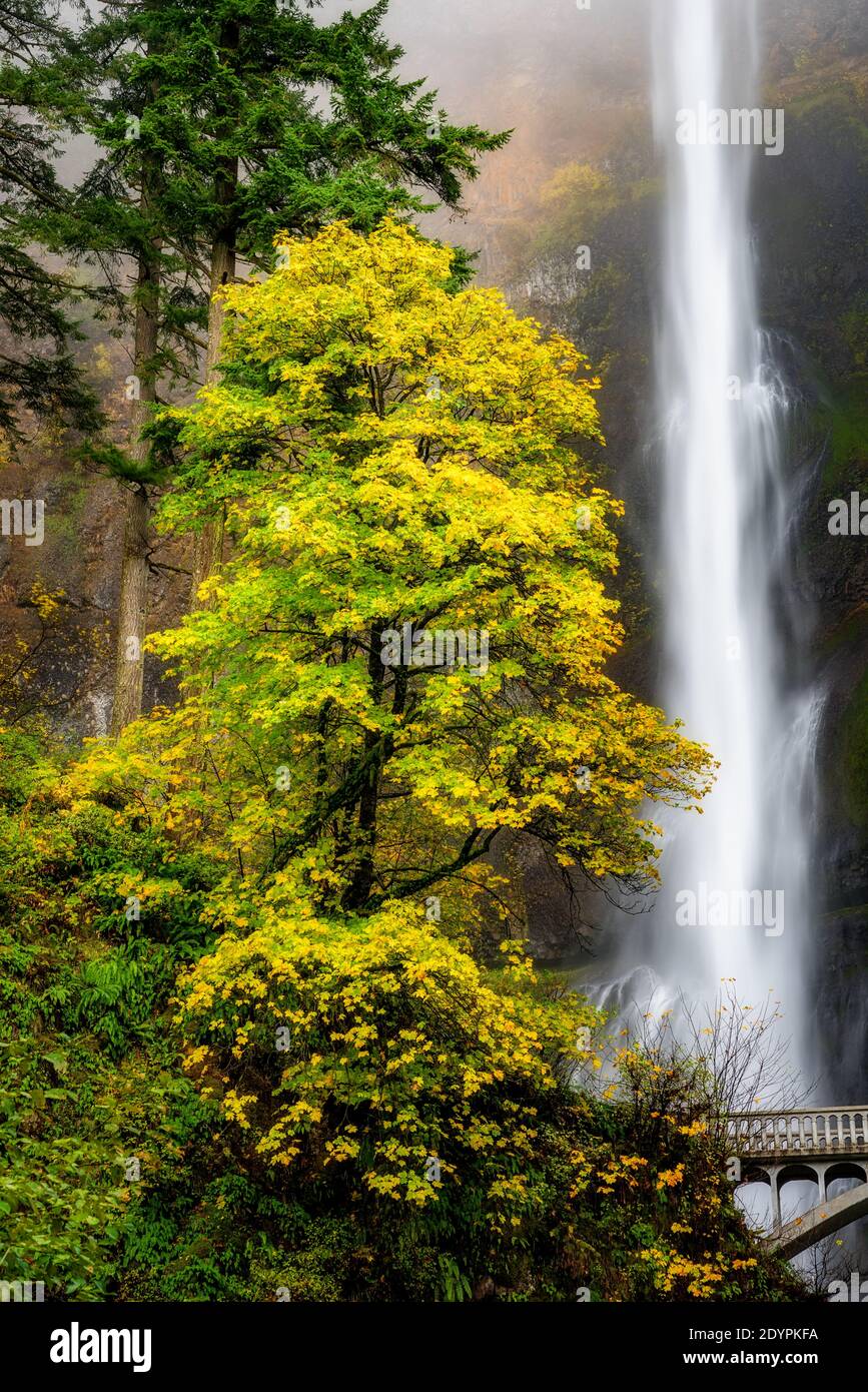 Multnomah falls in autumn hi-res stock photography and images - Alamy