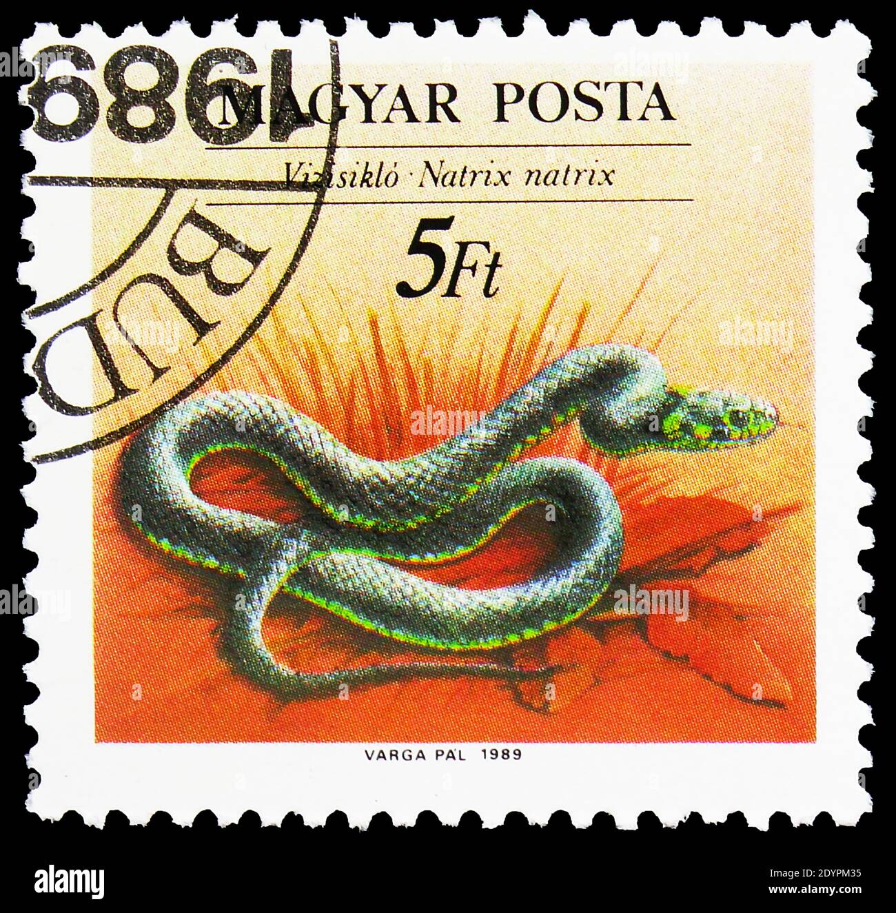 MOSCOW, RUSSIA - AUGUST 19, 2019: Postage stamp printed in Hungary ...