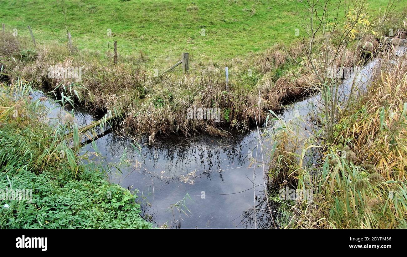 Moat bifurcation in a nature reserve with high grasses at the side ...