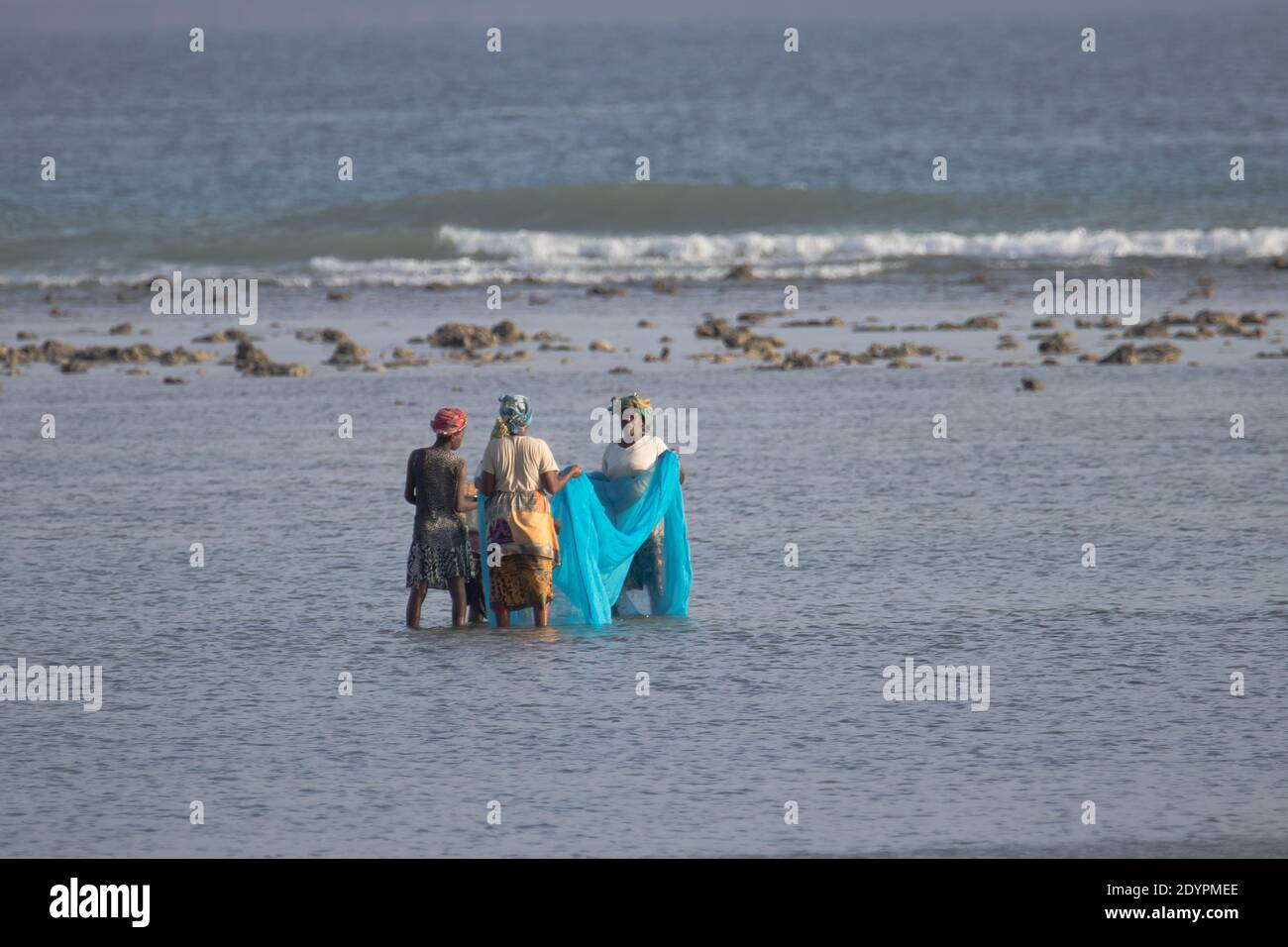 Silhouettes of African Woman catching fish with net, traditional rural ...