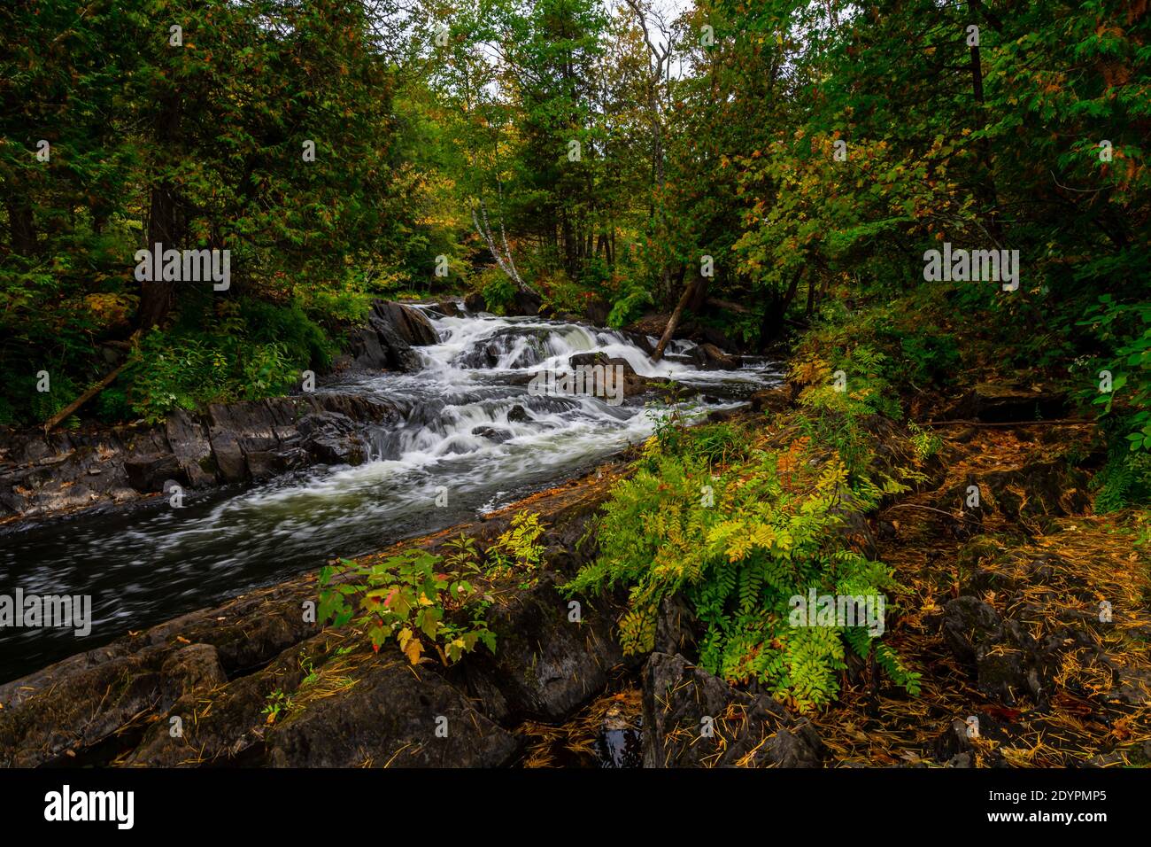Meddle High Resolution Stock Photography and Images - Alamy