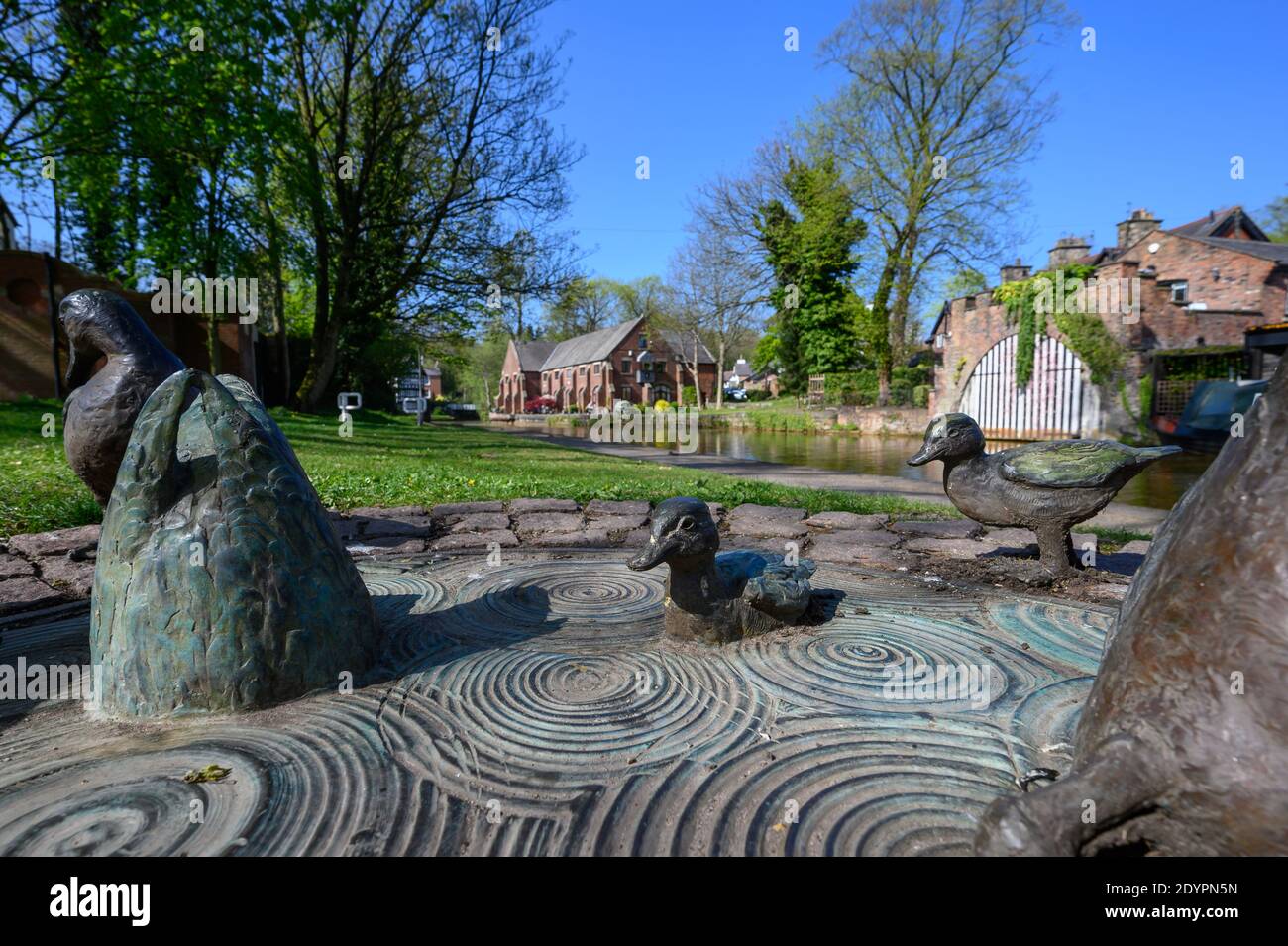 Worsley Ducks, Worsley, Manchester Stock Photo - Alamy