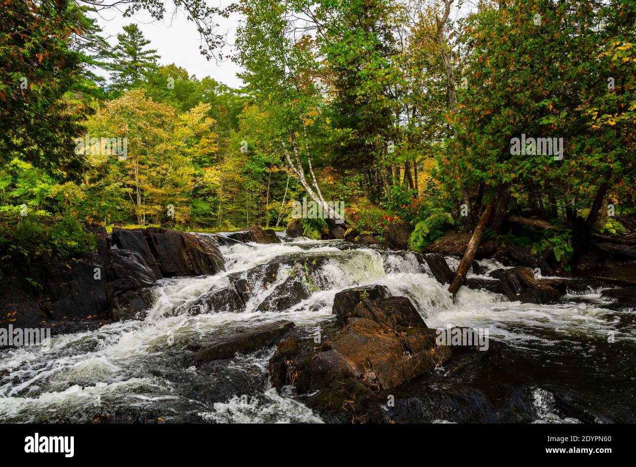 Cordova Falls Cordova Lake Crowe River Havelock Peterborough County ...