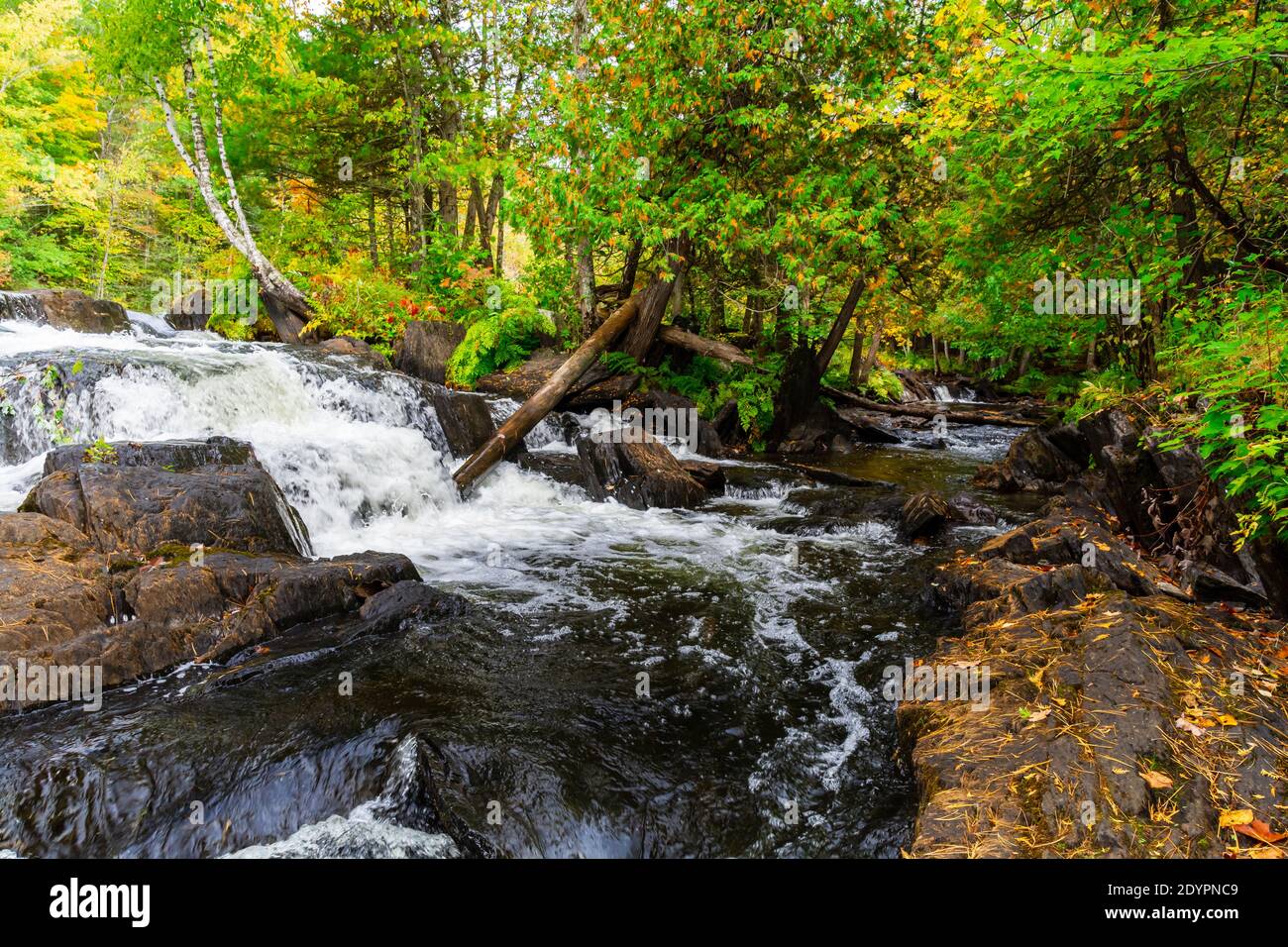 Cordova Falls Cordova Lake Crowe River Havelock Peterborough County ...