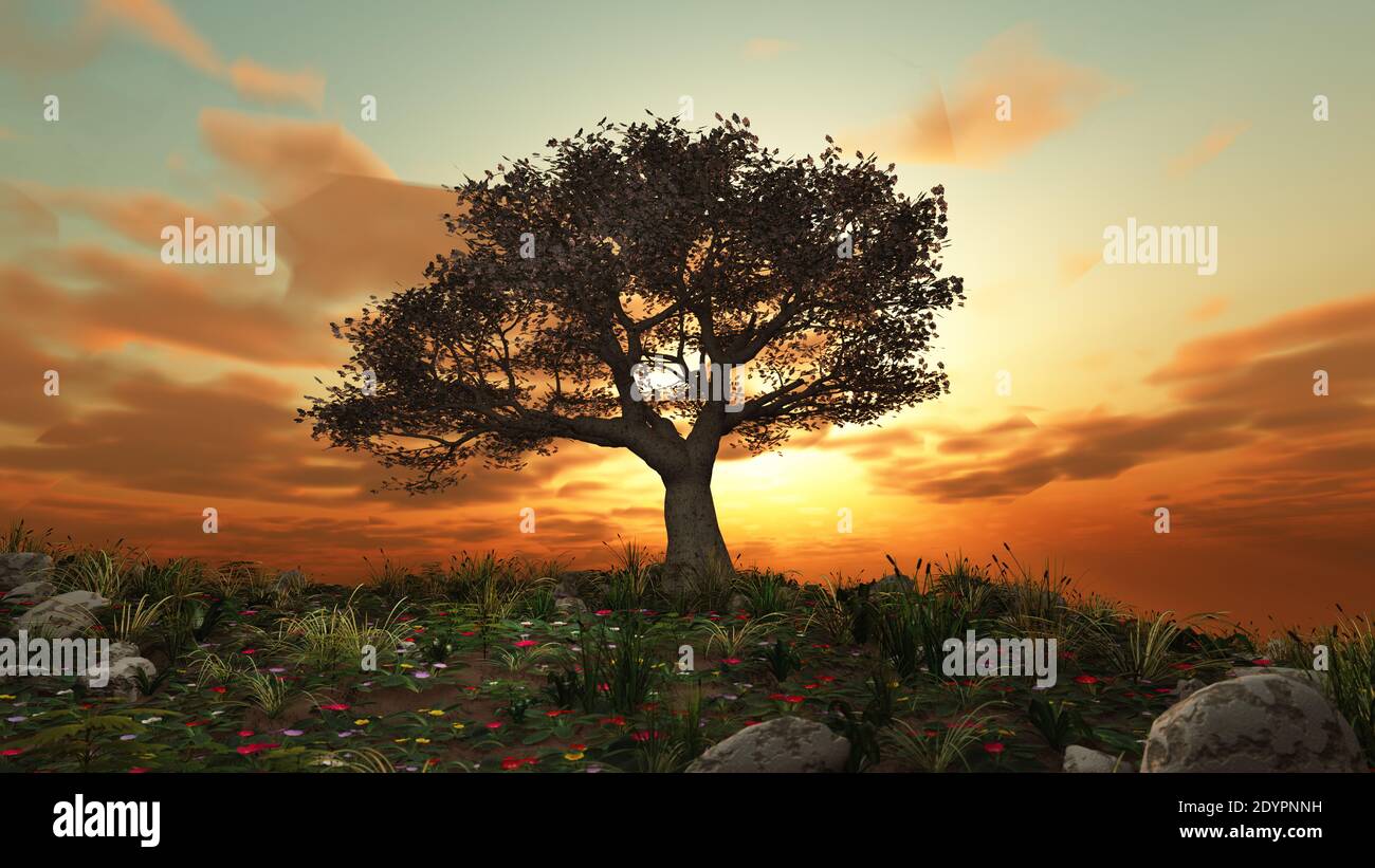 tree spring in meadow sunset illustration, 3d rendering Stock Photo - Alamy
